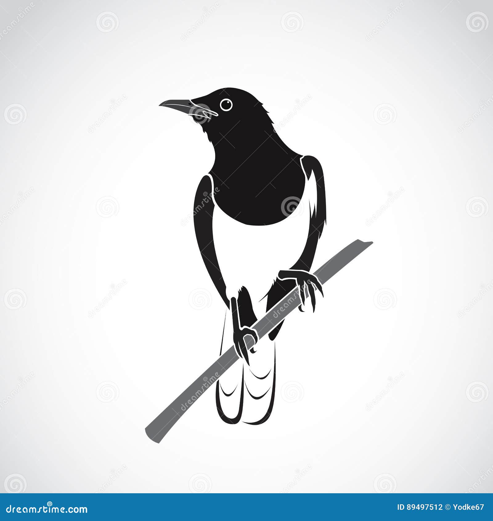 Two Magpies Bird Silhouette, Animal Logo Vector Illustration ...