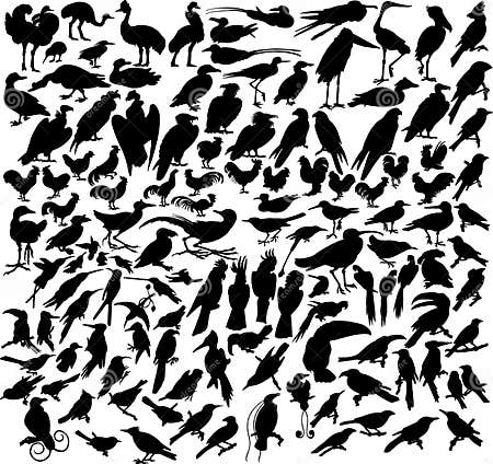 Vector birds stock vector. Illustration of backgrounds - 4453622
