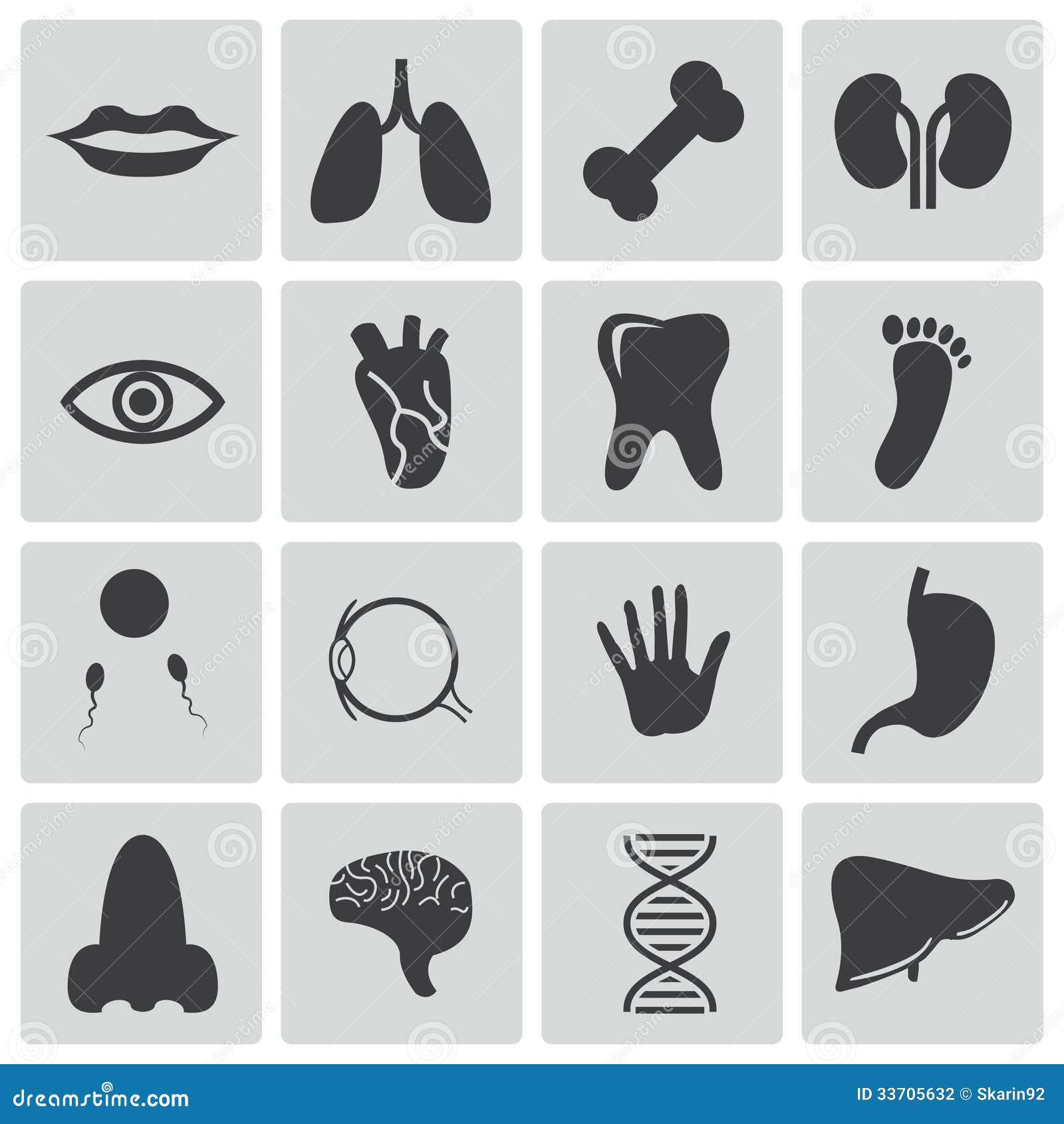 100 Anatomy Icons Set Black Circle Cartoon Vector | CartoonDealer.com ...