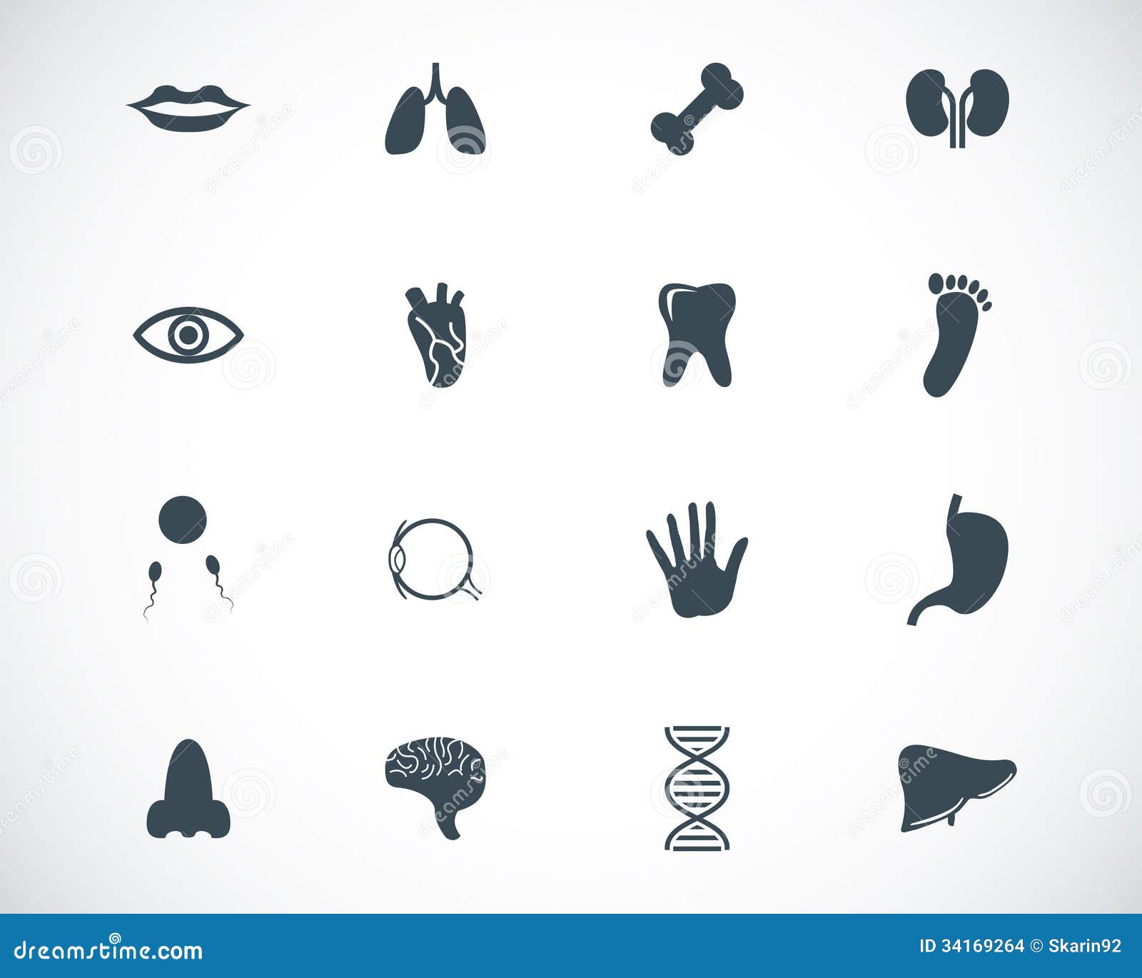 100 Anatomy Icons Set Black Circle Cartoon Vector | CartoonDealer.com ...