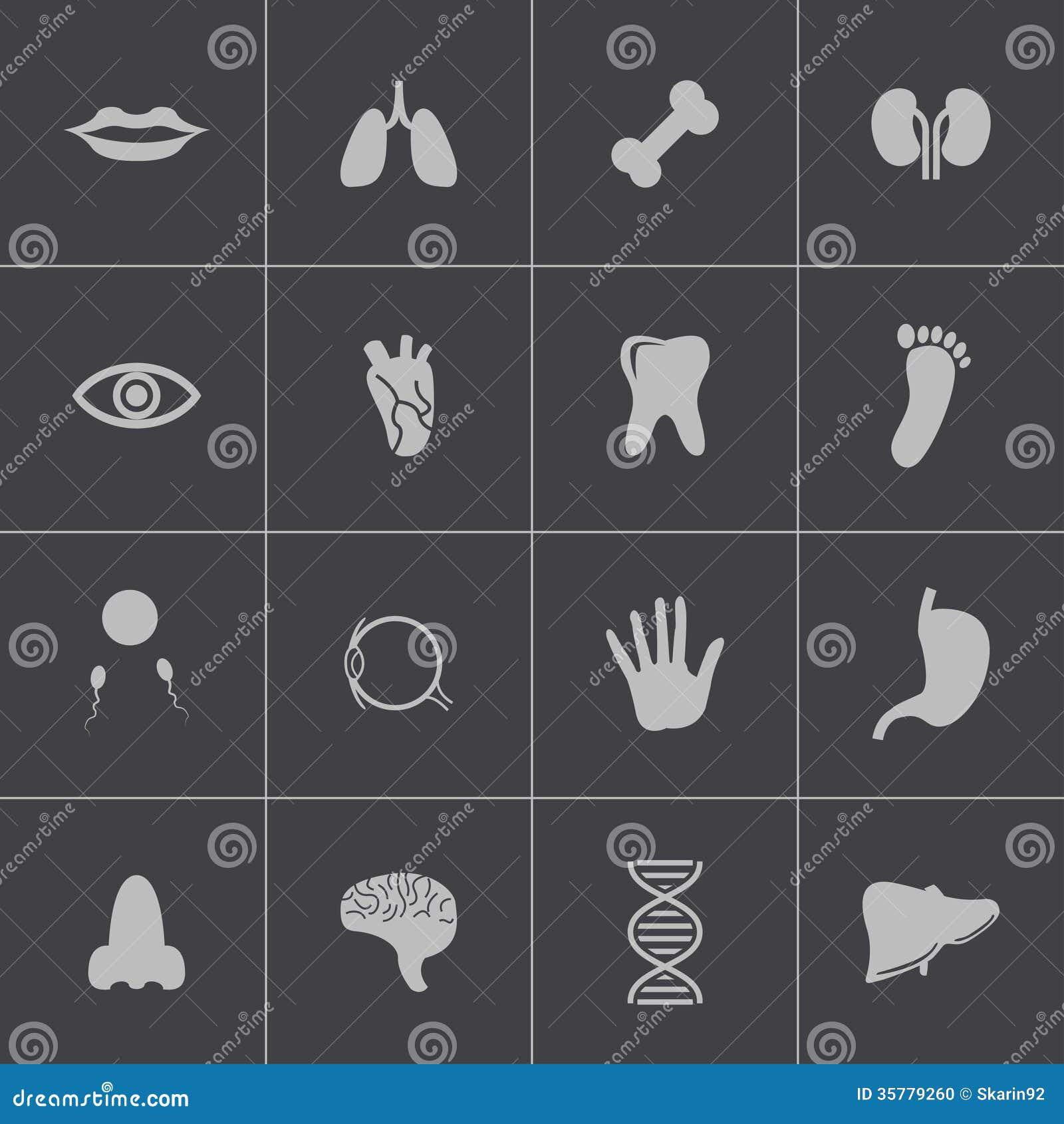 Vector Black Anatomy Icons Set Stock Vector - Illustration of isolated ...