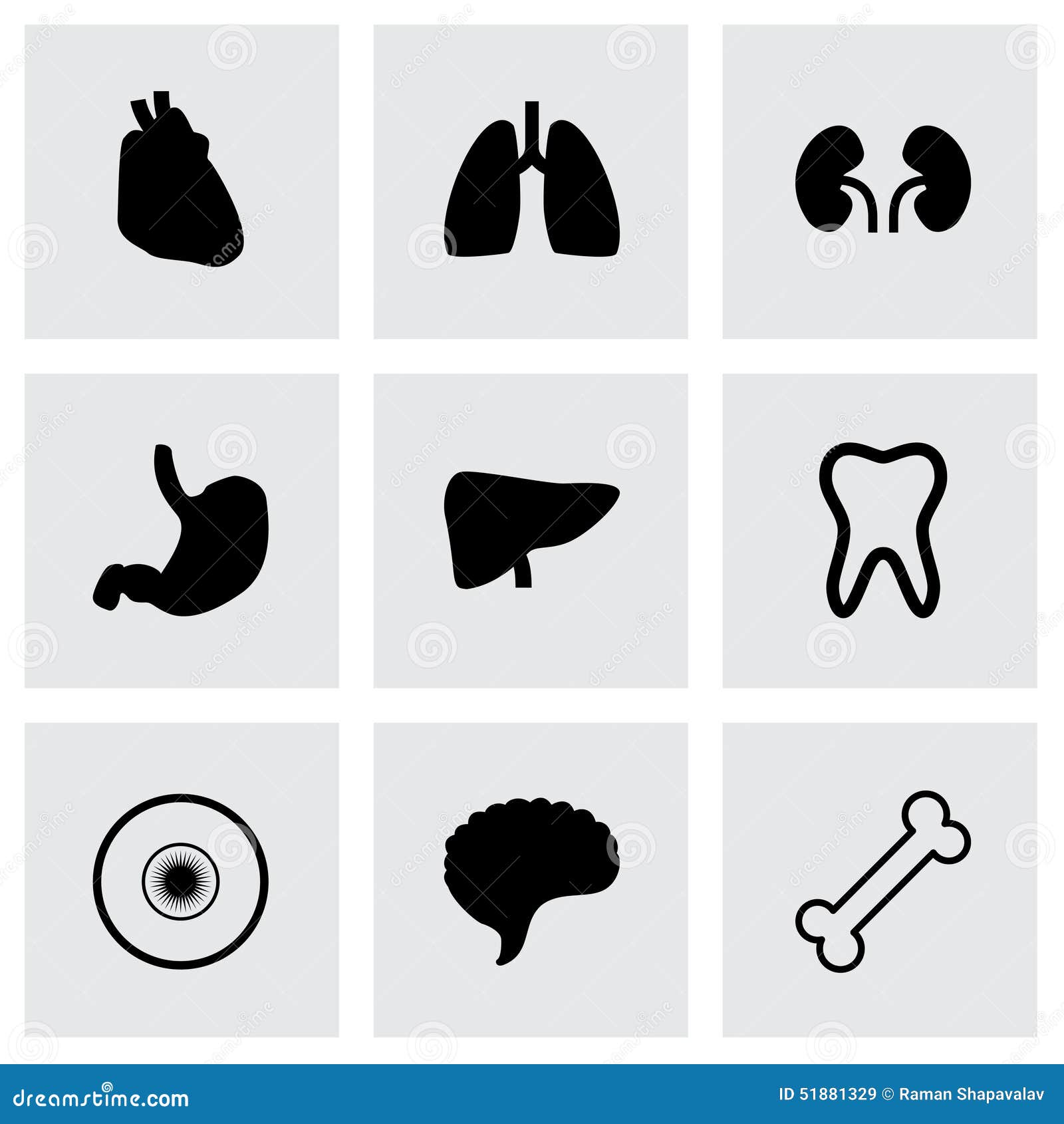 Anatomy Icons Set Vector Illustration | CartoonDealer.com #60232440