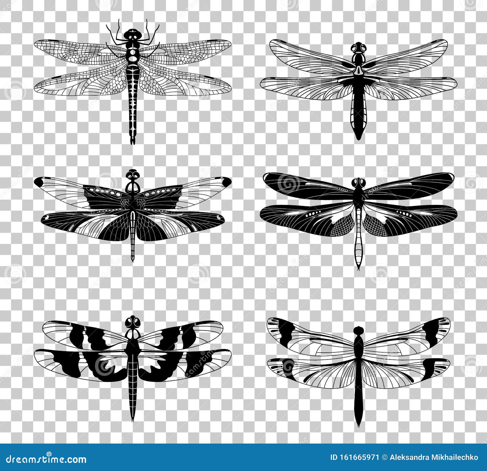 Vector Black Dragonfly Icons Set Isolated on Transparent Background ...