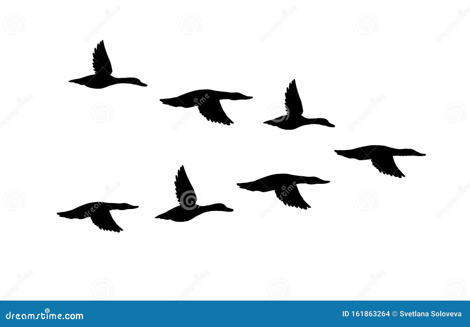 Vector Black Flock Of Flying Duck Silhouette Royalty-Free Stock Image ...
