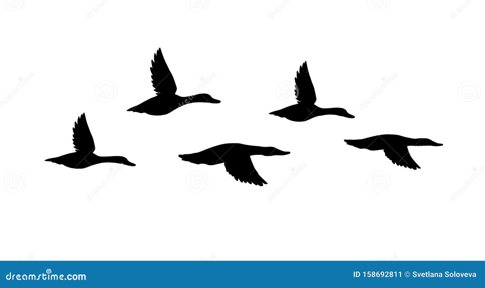 Vector Black Flock of Flying Duck Silhouette Stock Vector ...