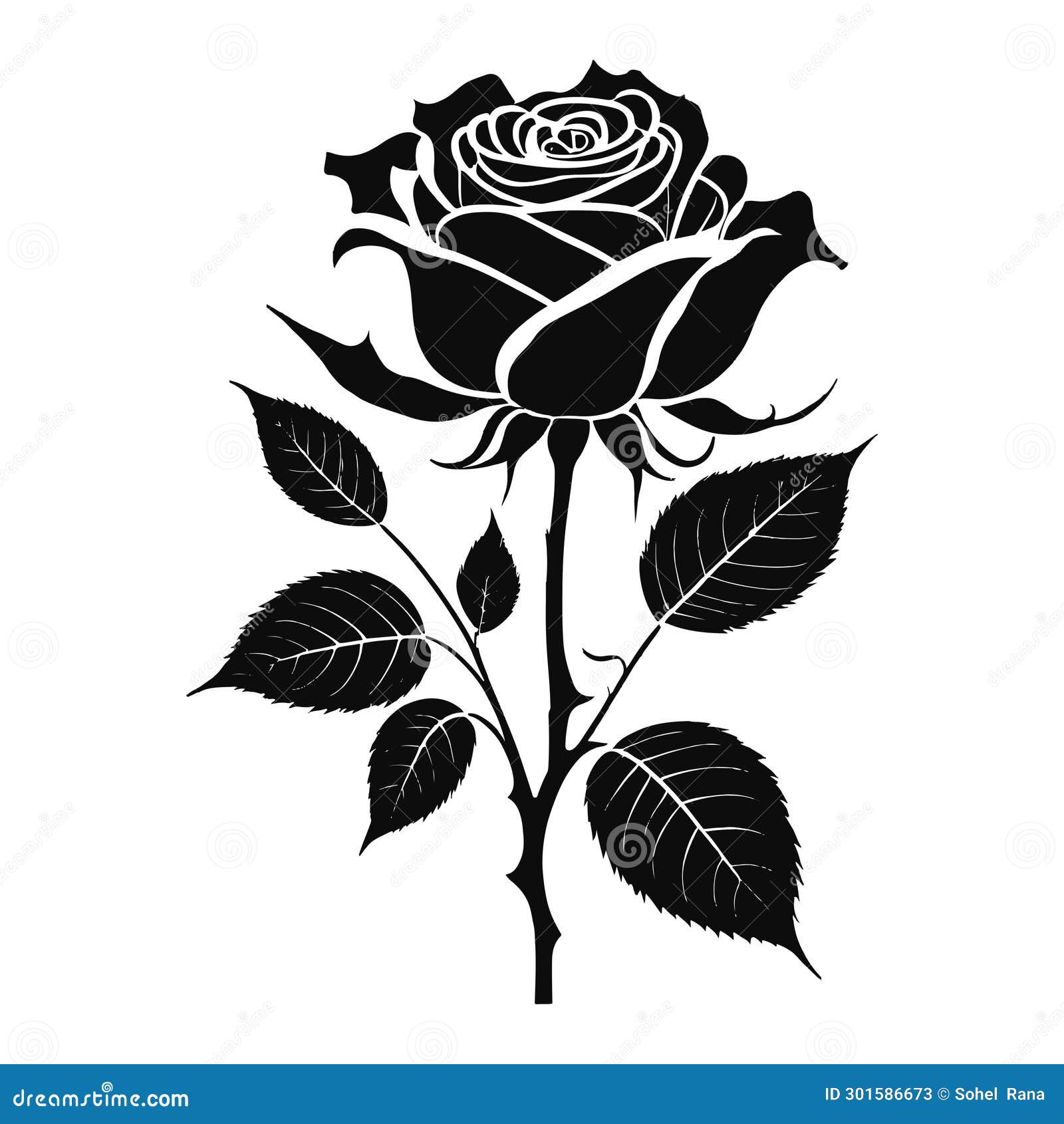 Vector Black Rose. Vector Illustration,flower Stock Vector ...