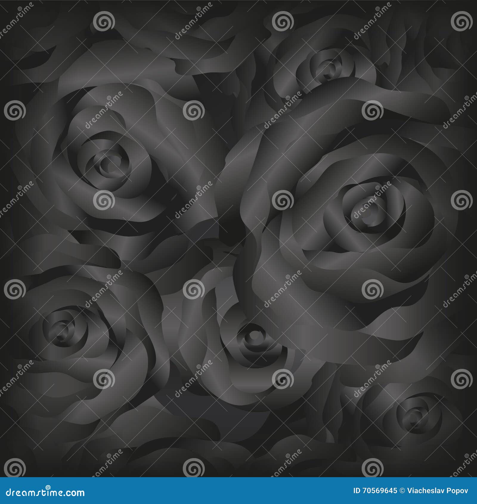 Vector black roses stock vector. Illustration of background - 70569645