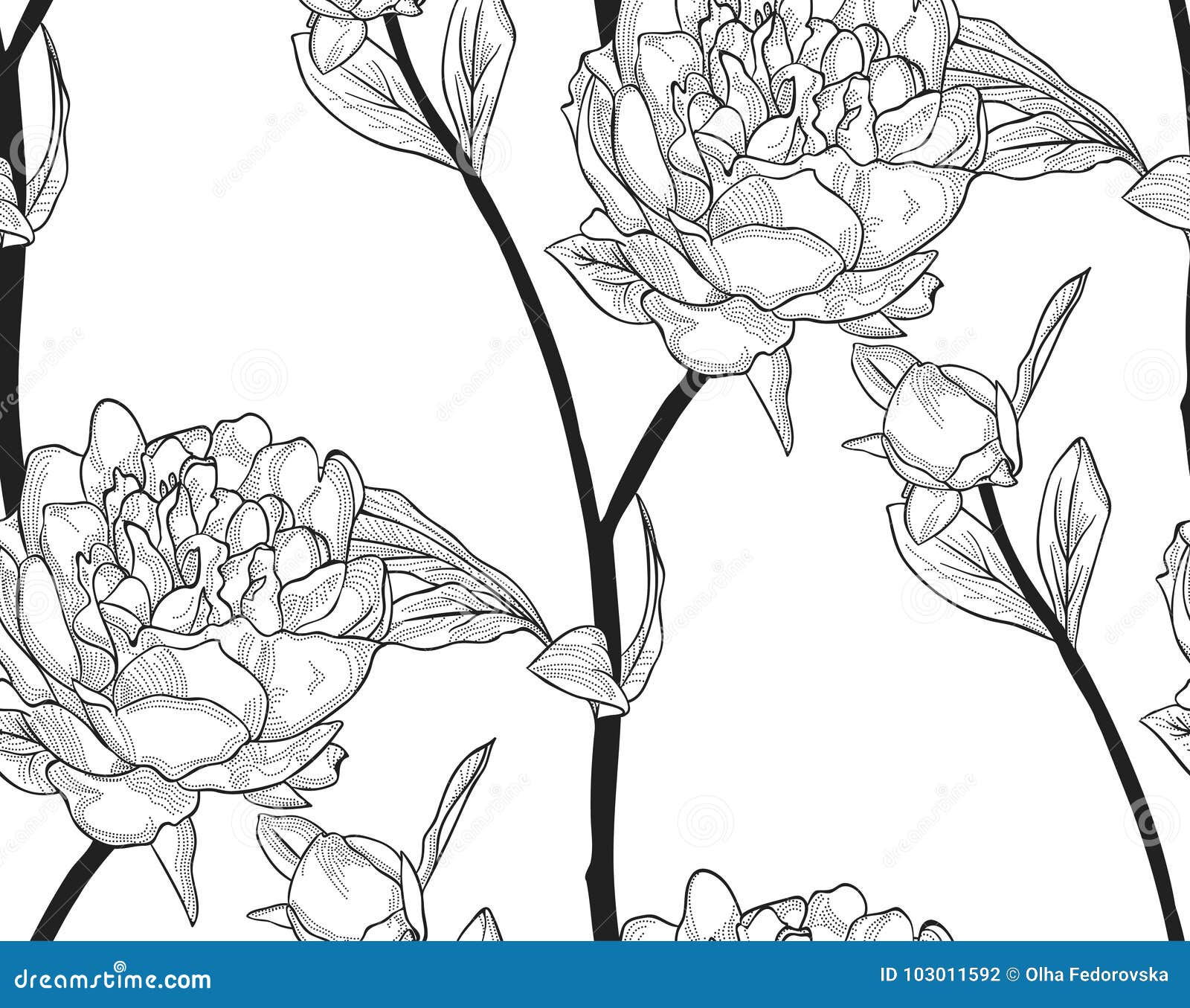Vector Black Seamless Pattern with Drawn Flowers, Peony Stock Vector ...