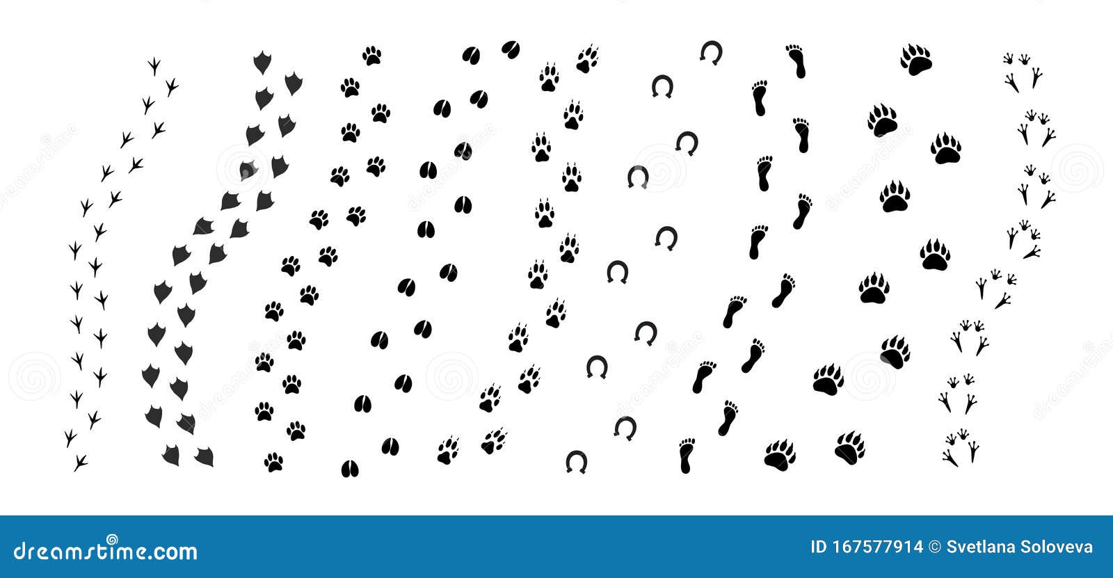 Paw Print Path. Animal Pawprint Trail Tracking With Location Pin. Paw ...