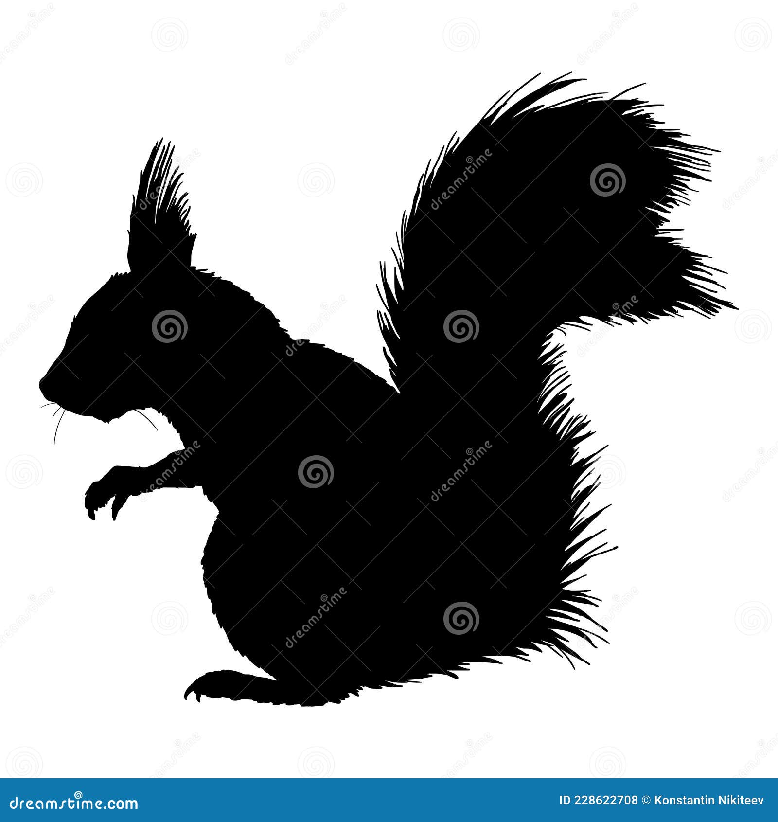 Red Squirrel Side View. Cartoon Outline Sketch Illustration Of Cute ...