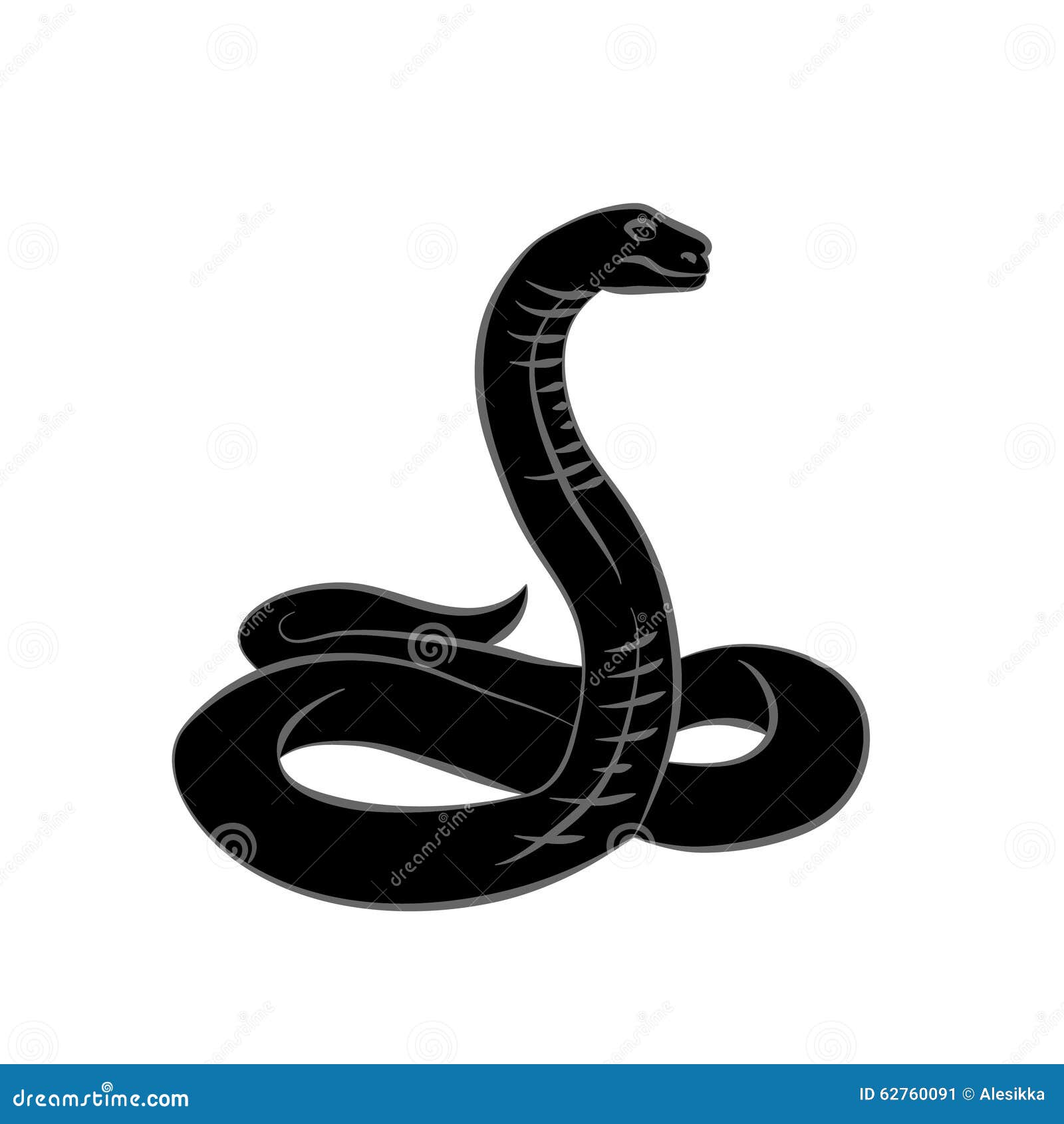 Vector. Black snake stock vector. Illustration of deadly - 62760091