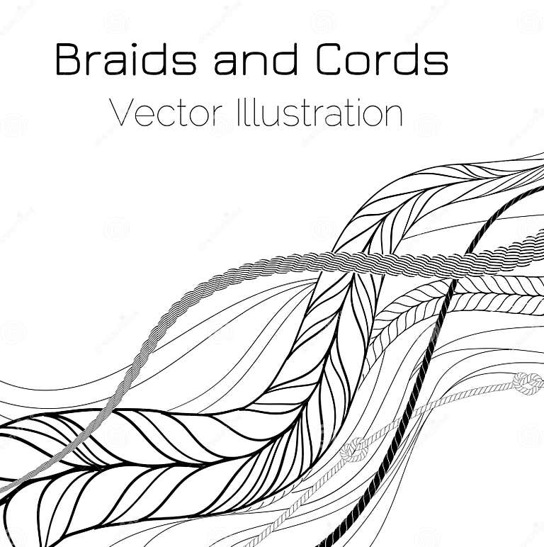 Vector Black and White Braids and Cords Waves Background Simple Ropes Template for Design ...