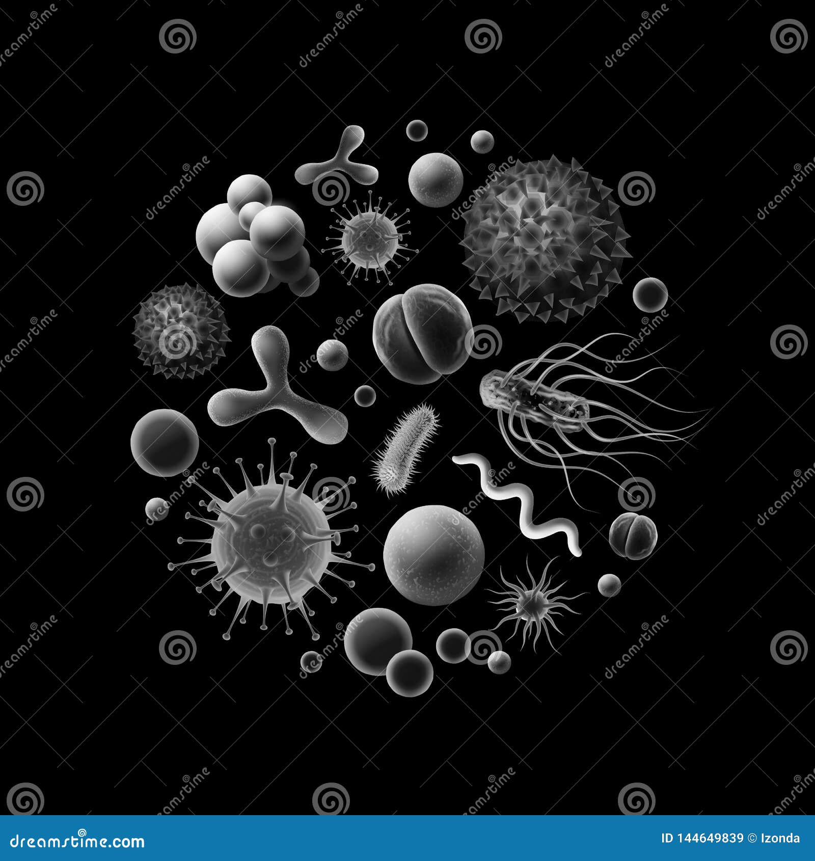 Vector Black and White Illustration of Bacteria and Virus Cells: Cocci ...