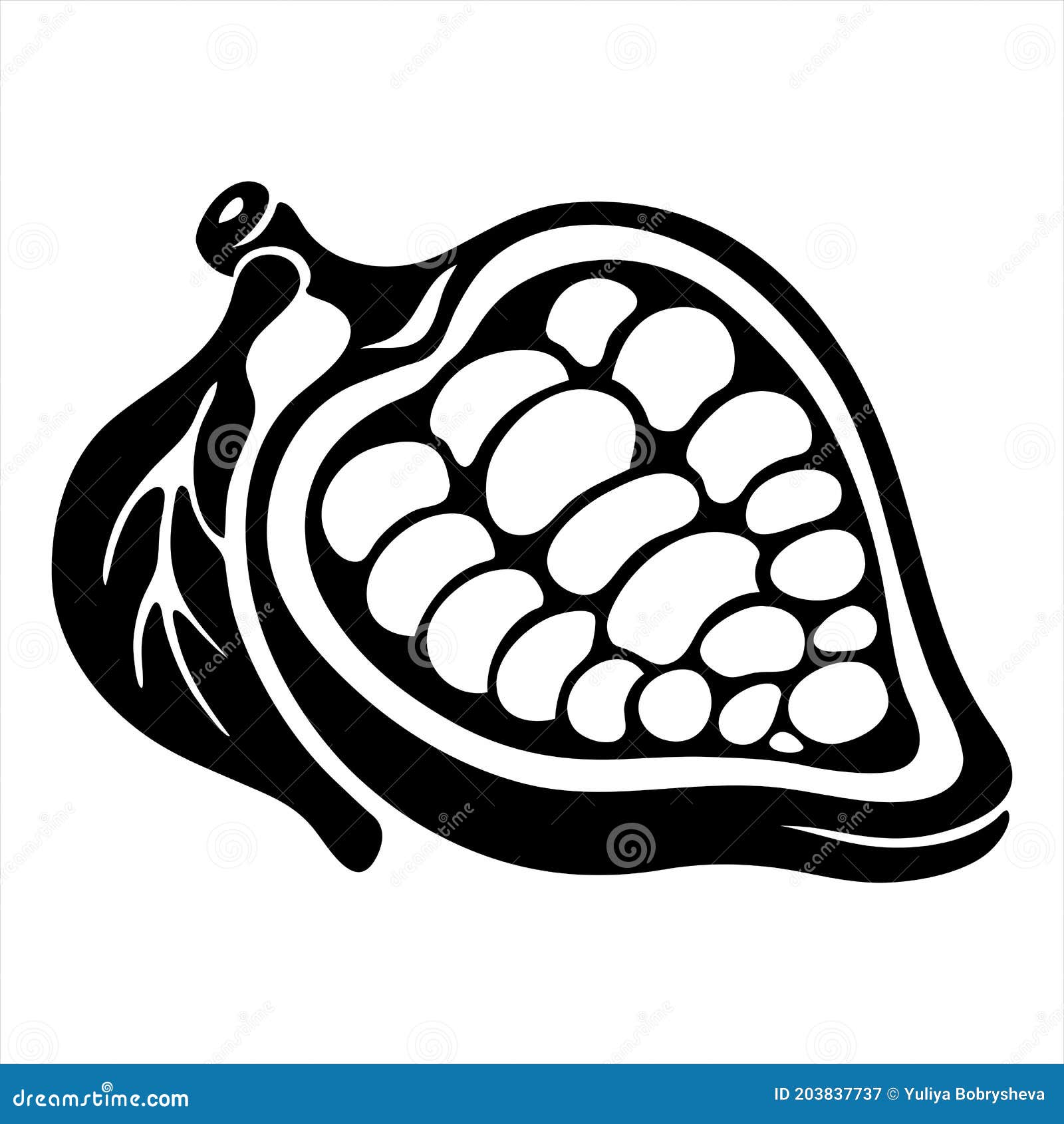 Vector Black and White Illustration: Cocoa Bean (chocolate) Stock ...