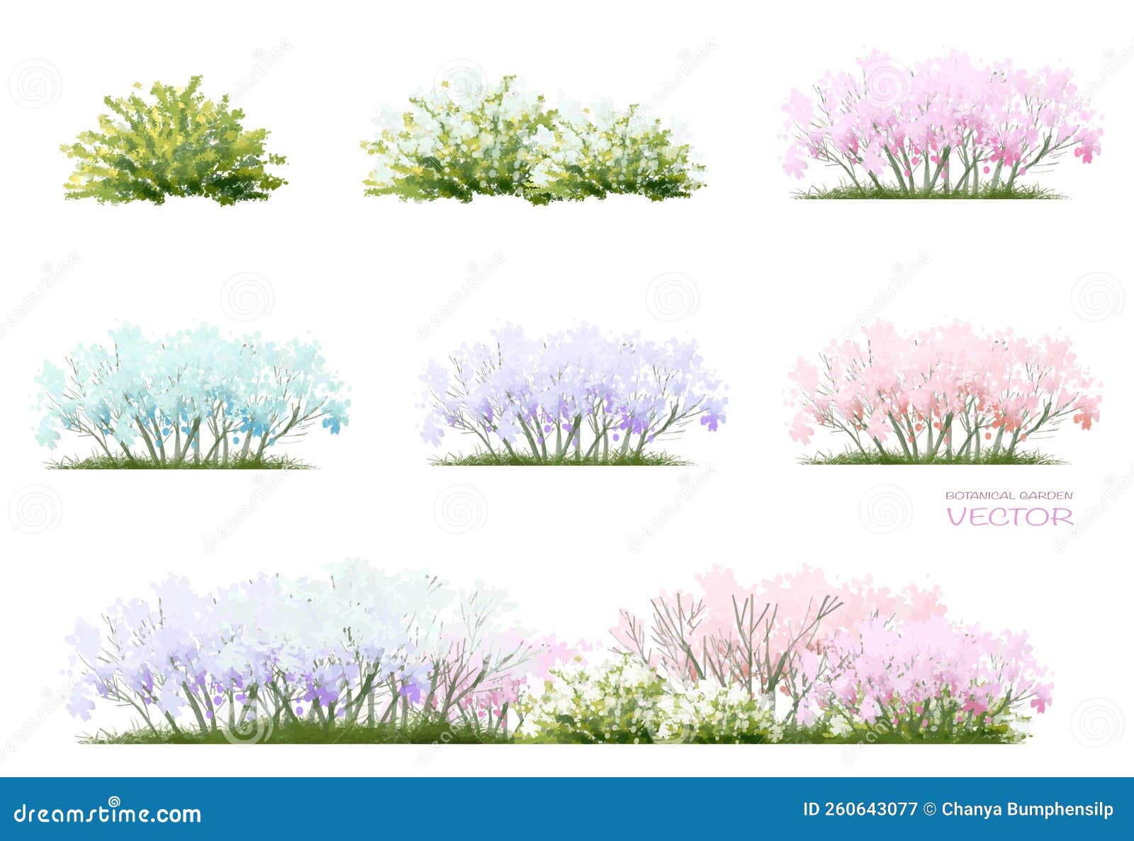 Vector Blooming Flower,tree or Forest Side View Isolated on White ...