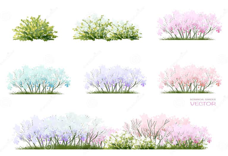 Vector Blooming Flower,tree or Forest Side View Isolated on White ...