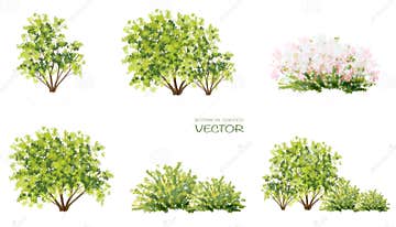 Vector Blooming Flower,tree or Forest Side View Isolated on White ...