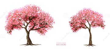 Vector Blooming Flower,tree or Forest Side View Isolated on White ...