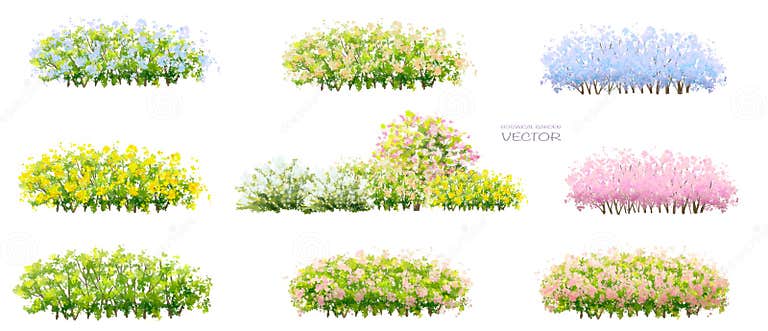 Vector Blooming Flower,tree or Forest Side View Isolated on White ...