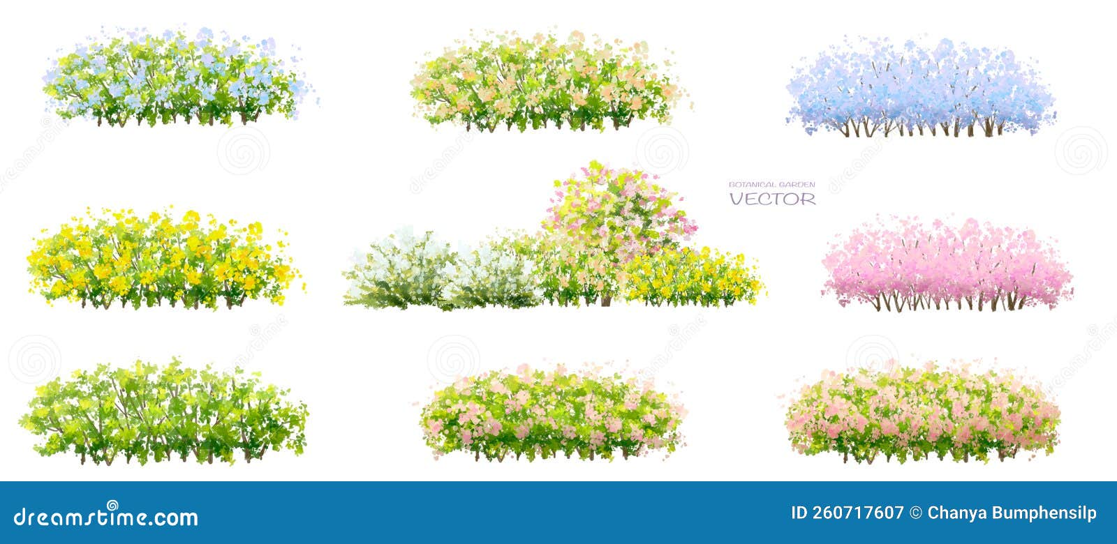 Vector Blooming Flower,tree or Forest Side View Isolated on White ...