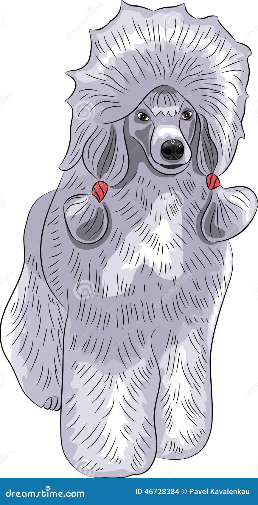 Vector blue poodle. stock vector. Illustration of canine - 46728384