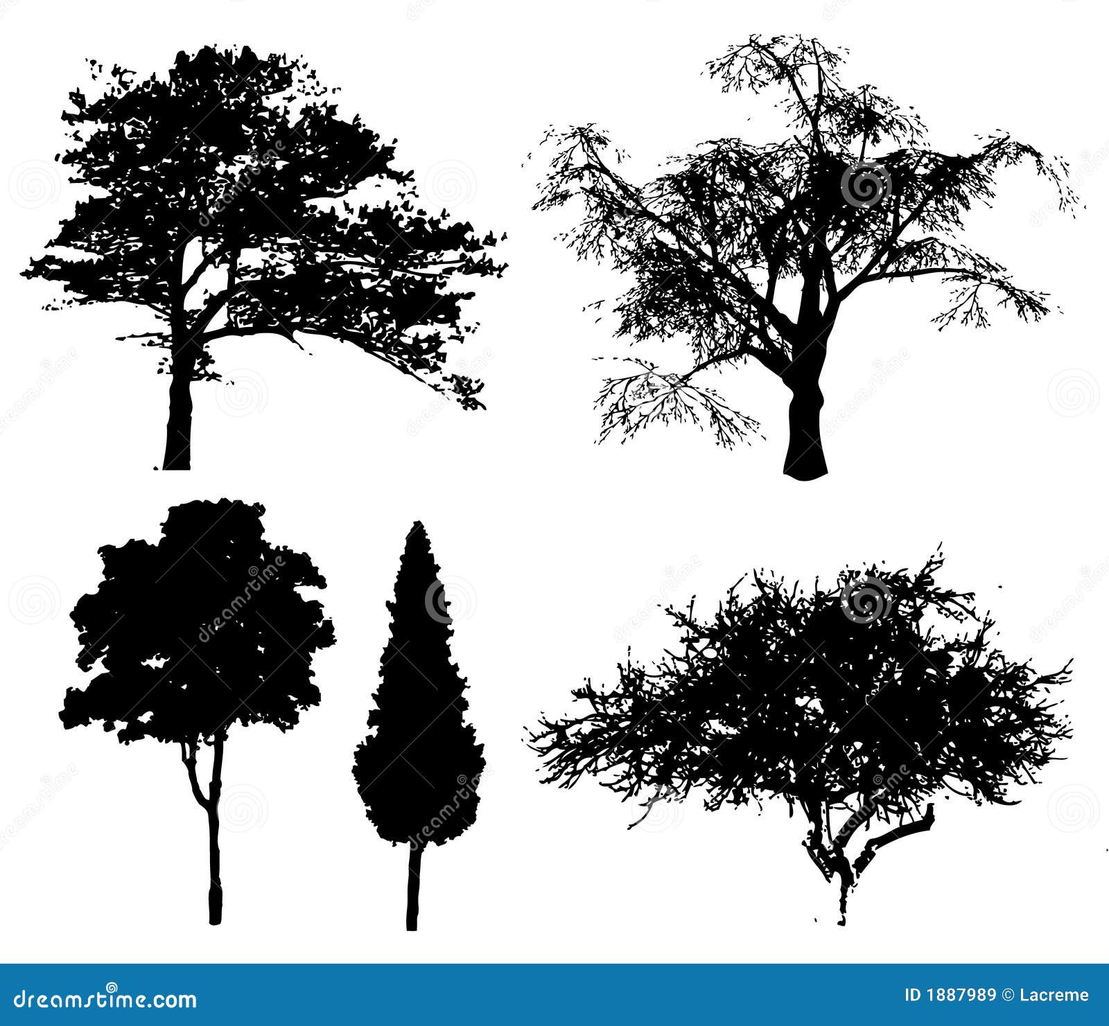 Vector bomen vector illustratie. Illustration of wilg - 1887989