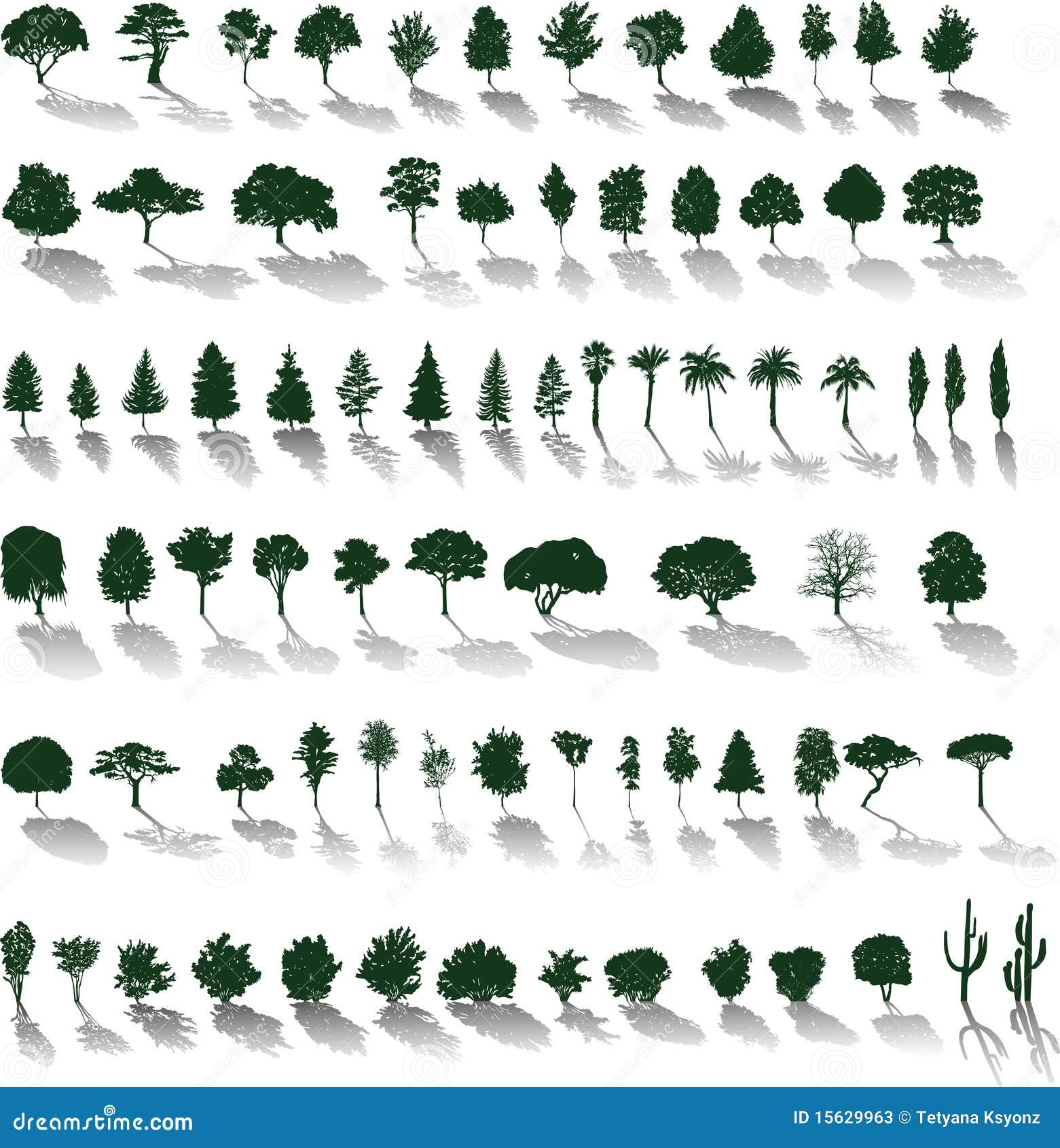 Vector bomen met schaduwen vector illustratie. Illustration of najaar ...