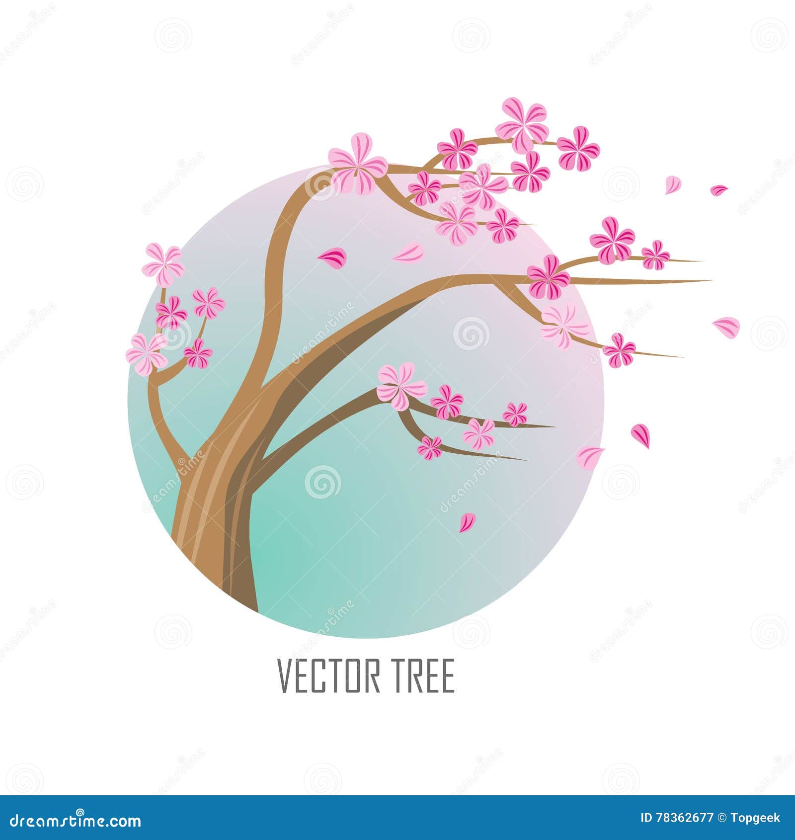 Vector Boom Sakura Op Wit Vector Vector Illustratie - Illustration of ...