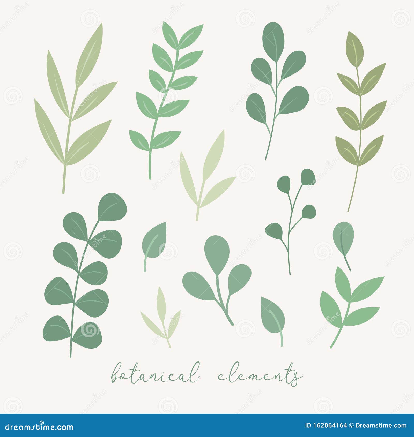 Vector Botanical Decoration Elements. Floral Leaves Set Stock Vector ...