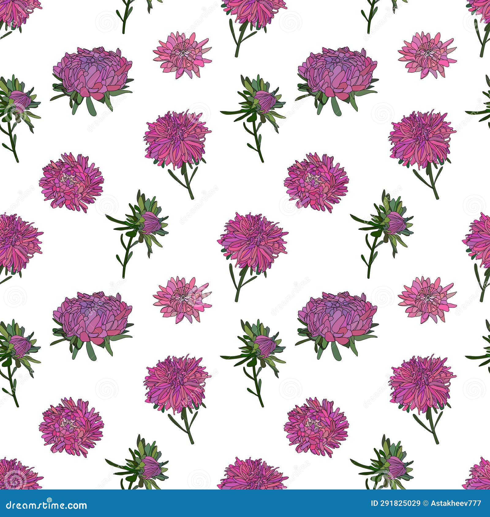 Vector Botanical Hand Drawn Pattern of Asters Flowers, Daisies Stock ...