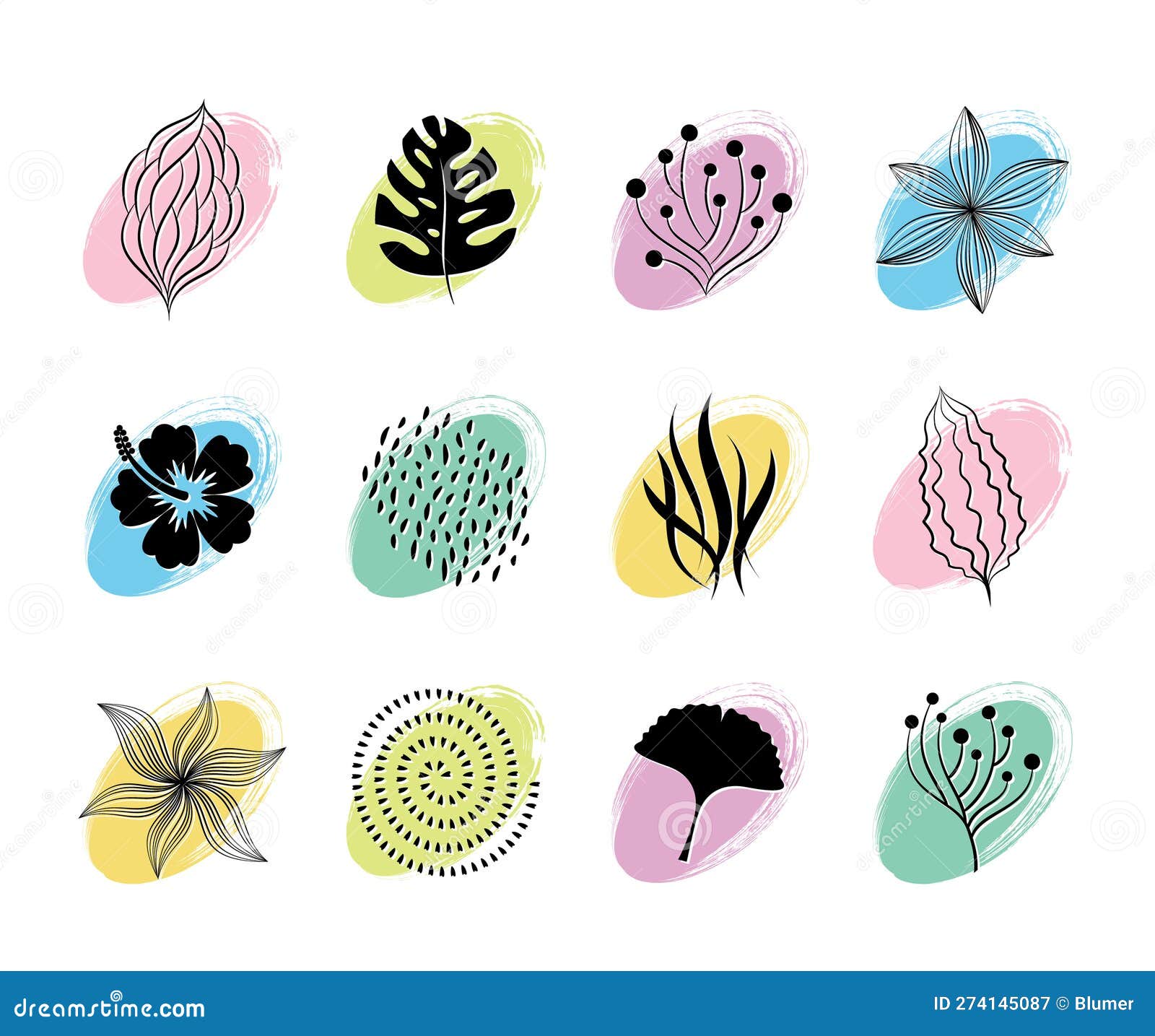 Vector Botanical and Organic Design Elements Set Stock Vector ...