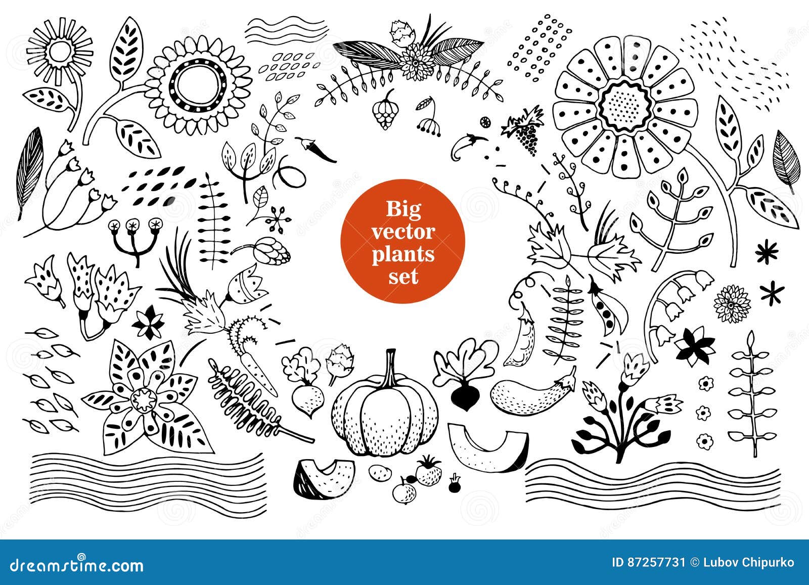 Vector Botany Collection. Retro Illustration Set Stock Vector ...