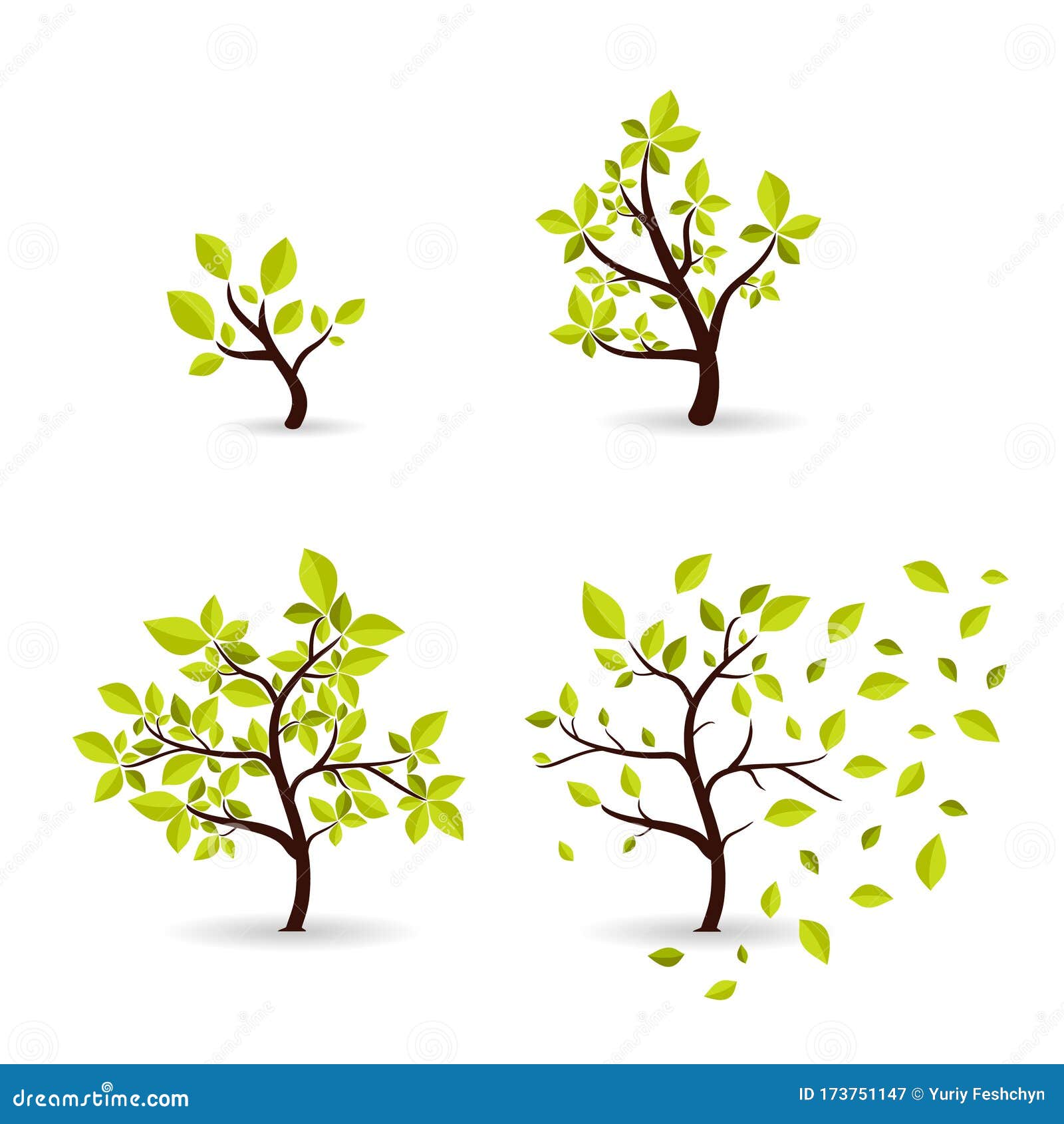 Vector Botany Concept Cyclic Growth of the Tree. Environmental Template ...