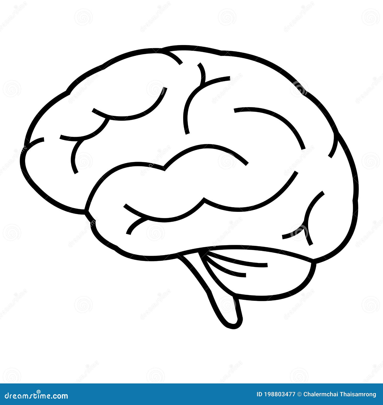 Vector Brain, Expressing Ideas , Creativity, Strategy, Memory ...