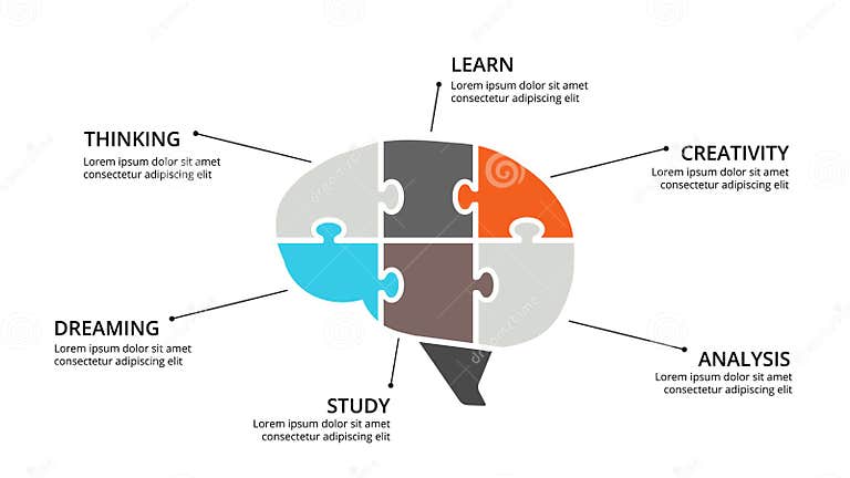 Vector Brain Infographic. Template for Human Head Diagram, Knowledge ...