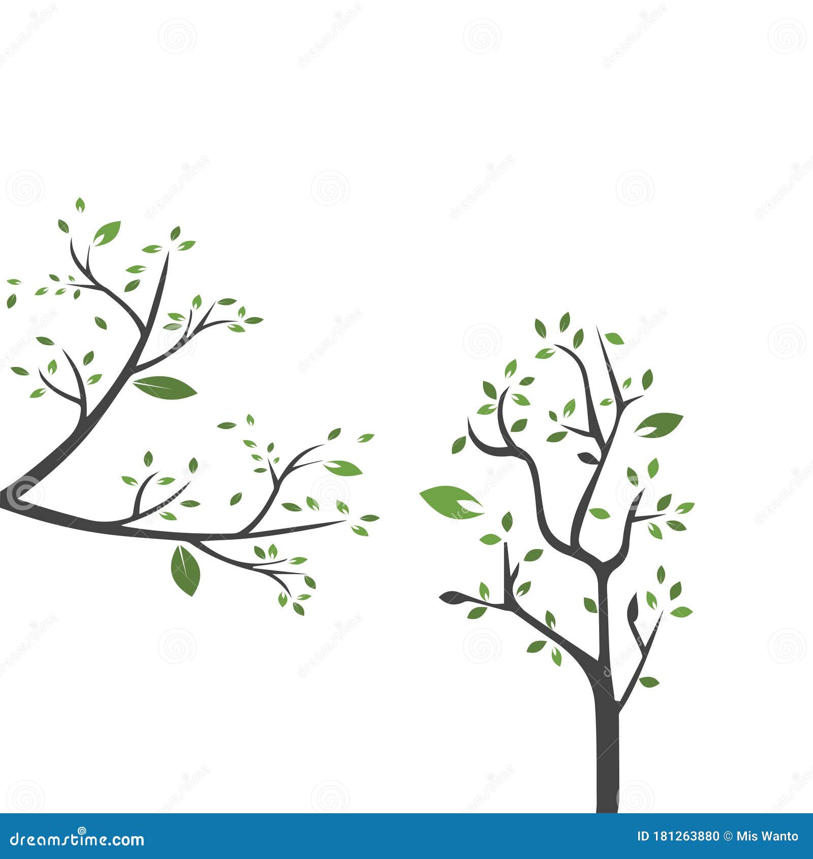 Vector Branch , Hand Drawn Illustration of Tree Branch Design Template ...