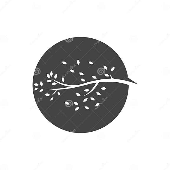 Vector Branch , Hand Drawn Illustration of Tree Branch Design Template ...
