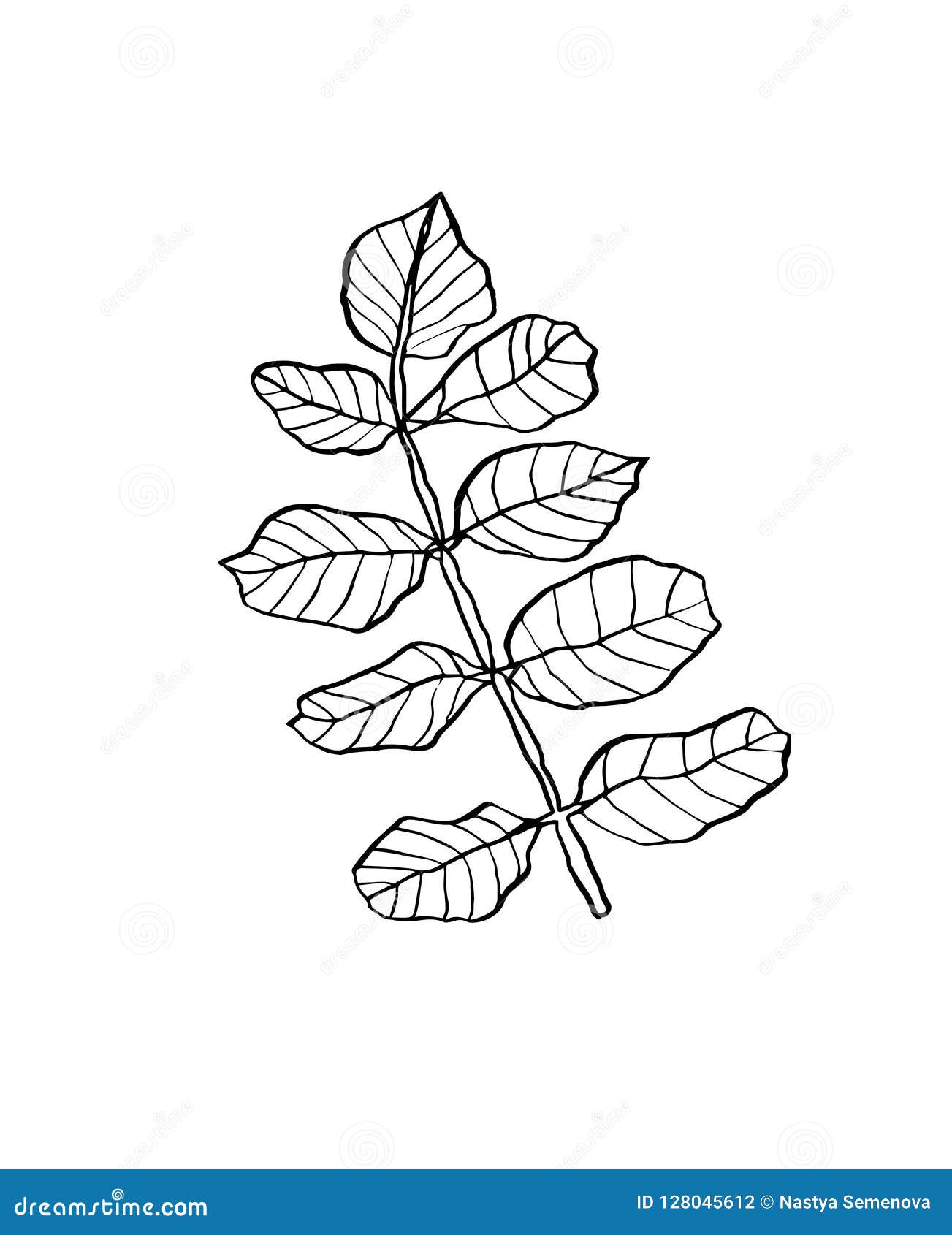 Vector Branch of Wild Leaves with Streaky Stock Vector - Illustration ...
