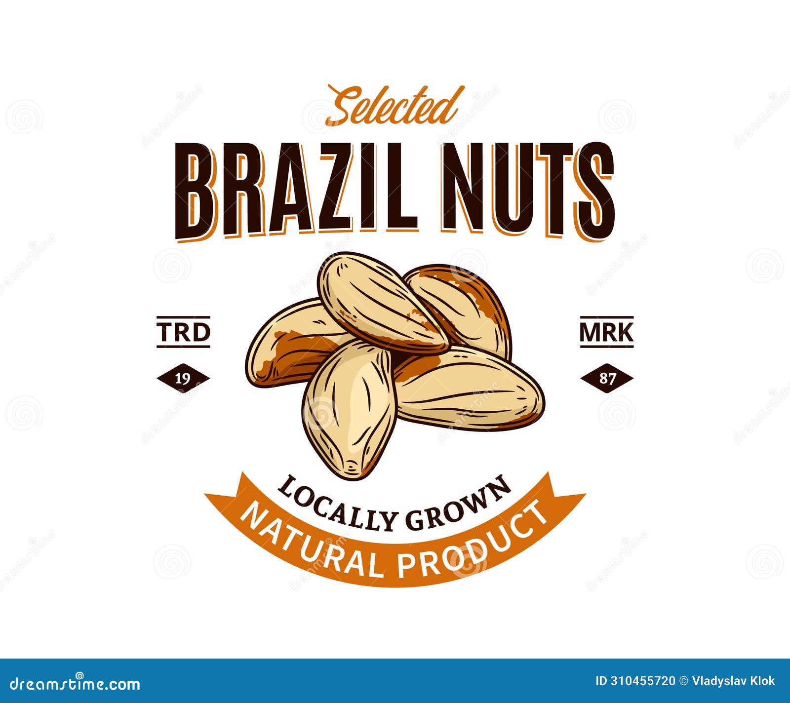 Vector brazil nut logo stock vector. Illustration of doodle - 310455720
