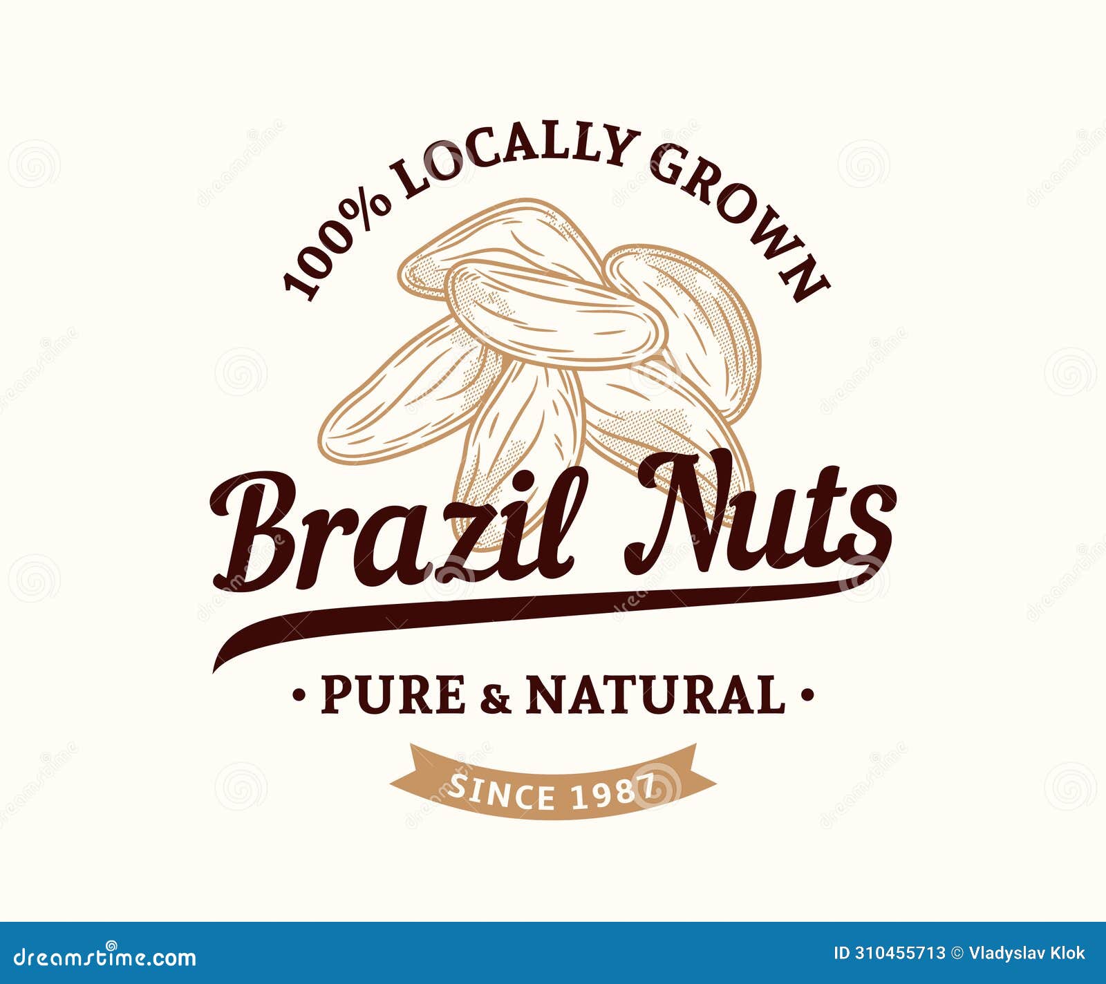 Vector brazil nut logo stock vector. Illustration of food - 310455713