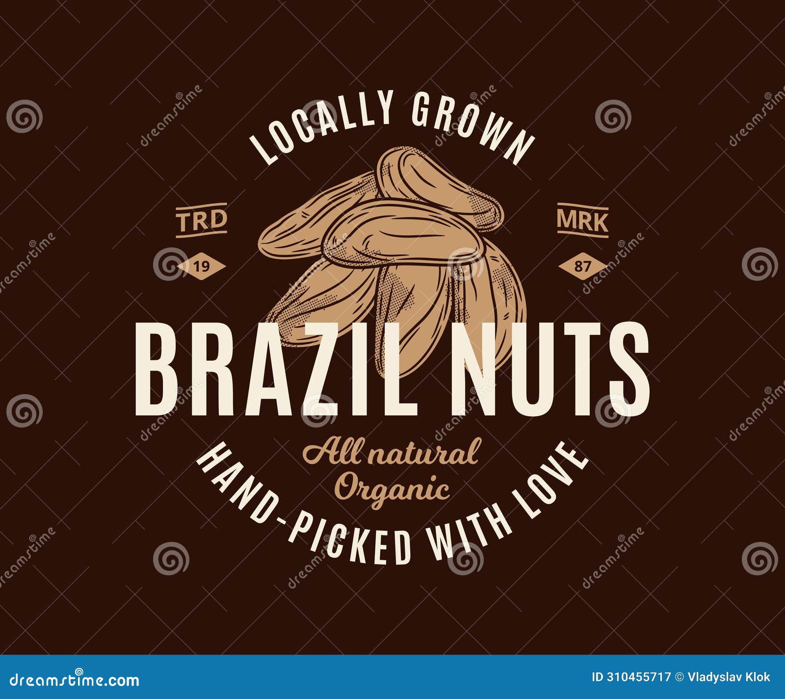 Vector brazil nut logo stock vector. Illustration of packaging - 310455717