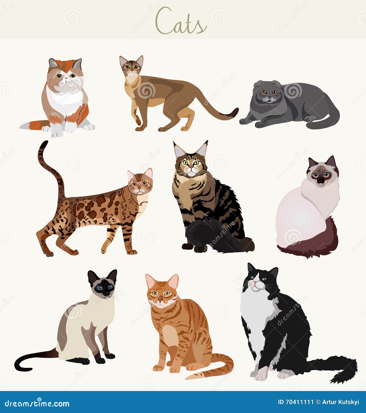 Vector Breed Cats in Different Poses. Cartoon Highly Detailed Pets ...