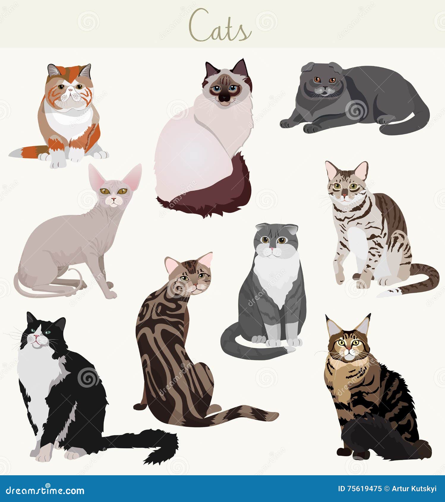 Vector Breed Cats in Different Poses. Cartoon Highly Detailed Pets ...
