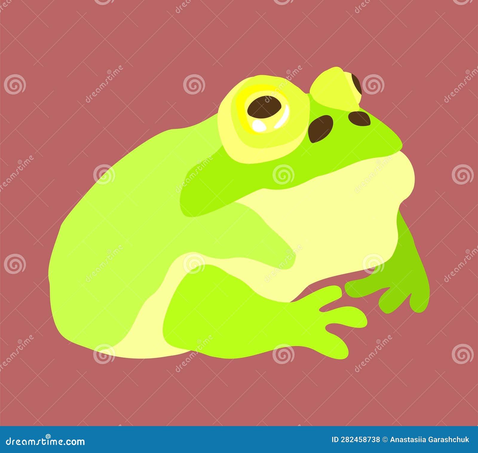 Vector Bright Illustration of Toad Stock Vector - Illustration of ...