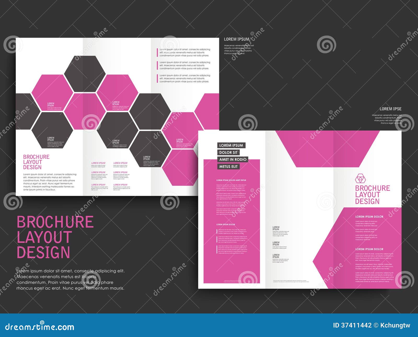 Vector Brochure Layout Design Template Stock Vector - Illustration of ...