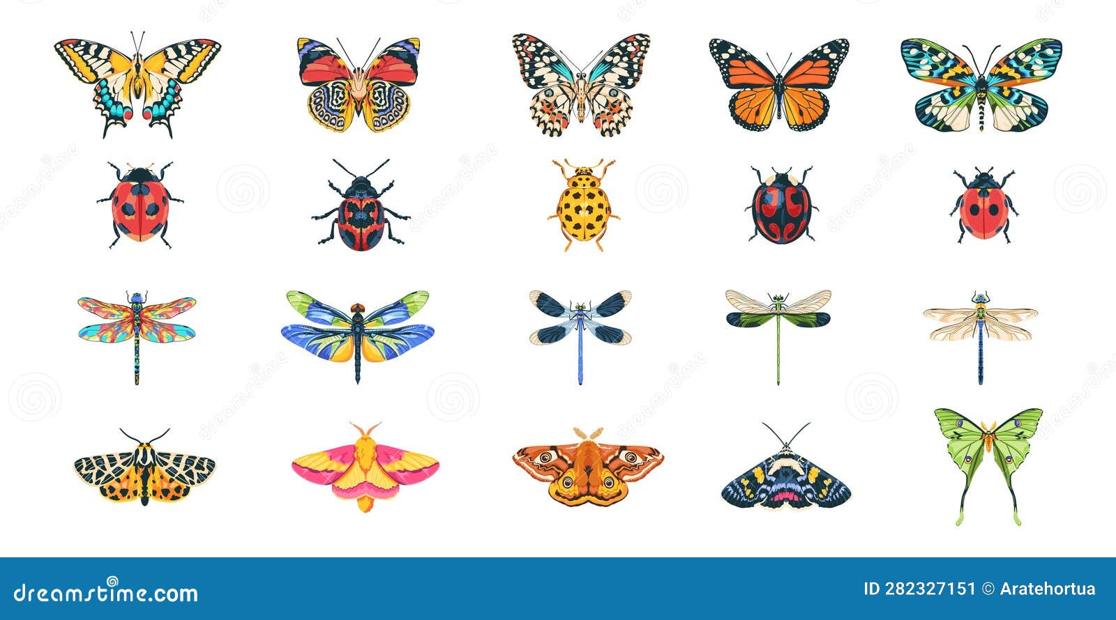 Vector Bug Exotic Insects Cartoon Set Illustration Isolated Stock ...