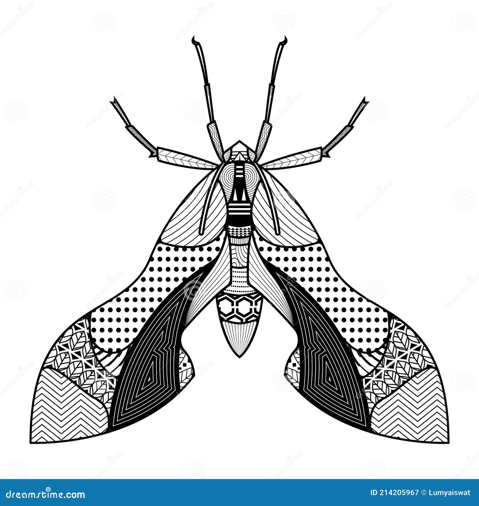 Vector Bug Of Hand Drawn Insects Illustrations | CartoonDealer.com ...