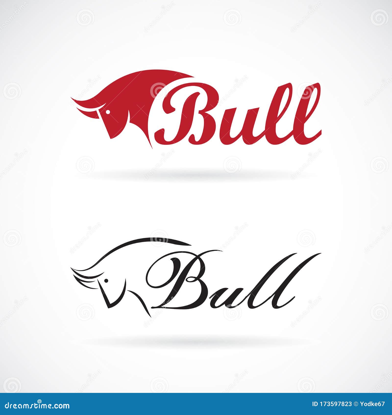 Vector of Bull Head Design and the Letters on White Background. Wild ...