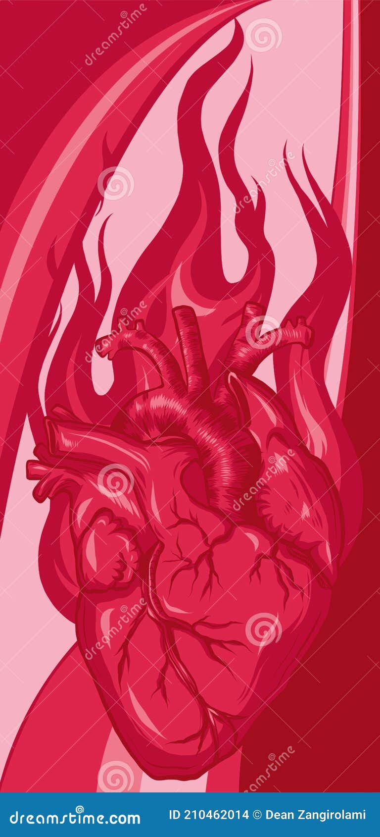 Vector Burning Heart. Illustration for Design Tattoo Stock Vector ...