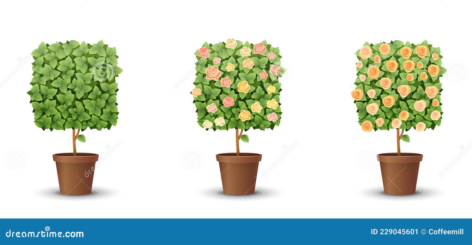 Vector Bush with Flowers in a Pot, in the Form of a Square Stock Vector ...